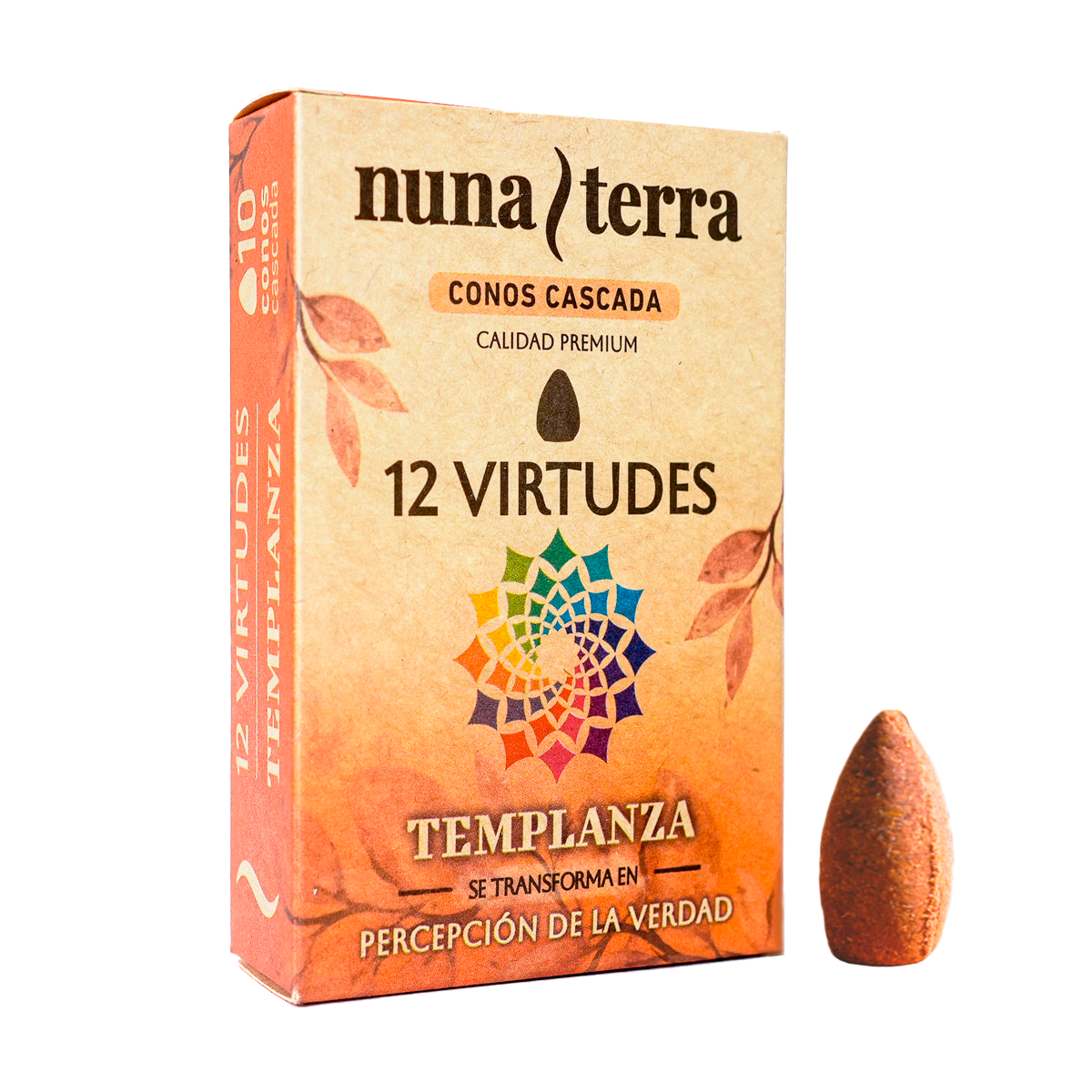 Conos Cascada 12 Virtudes – Templanza – Paraguay Center